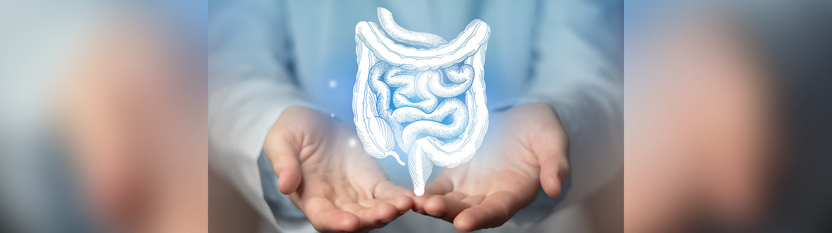 6 Ways To Detox Your Colon And Poop Better – SquattyPotty