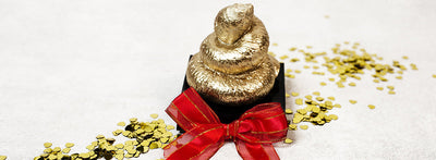 5 Amazing Poop World Records – SquattyPotty