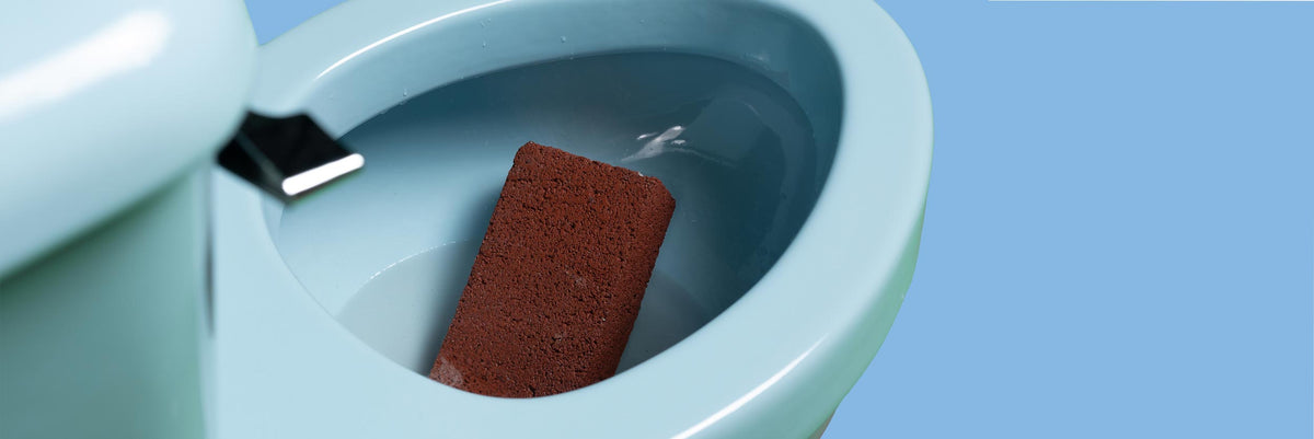 Pinching a Loaf and Other Poophemisms – SquattyPotty